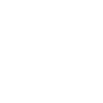 Turtle Crawl • Jekyll Island, Georgia • Vacation, Conservation, and ...