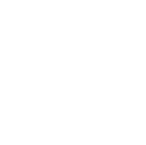 Turtle Crawl • Jekyll Island, Georgia • Vacation, Conservation, and ...