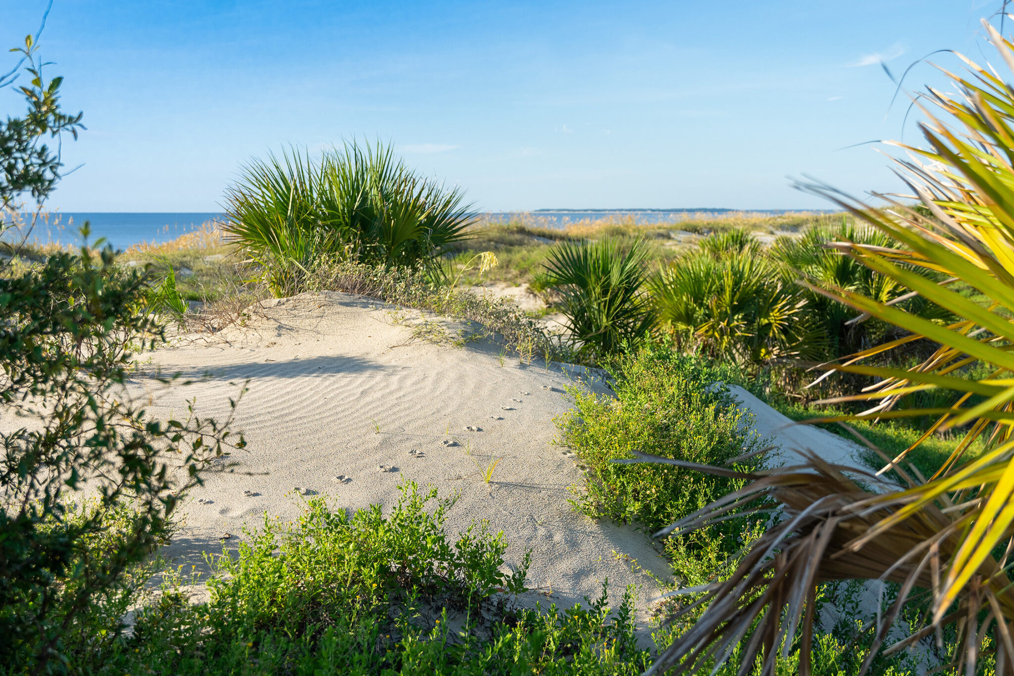 Jekyll Island Authority • Jekyll Island, Georgia • Vacation ...