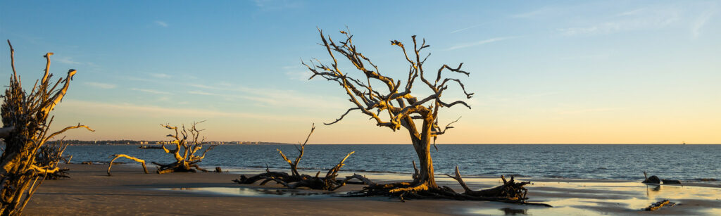 Jekyll Island Beaches • Jekyll Island, Georgia • Vacation, Conservation ...