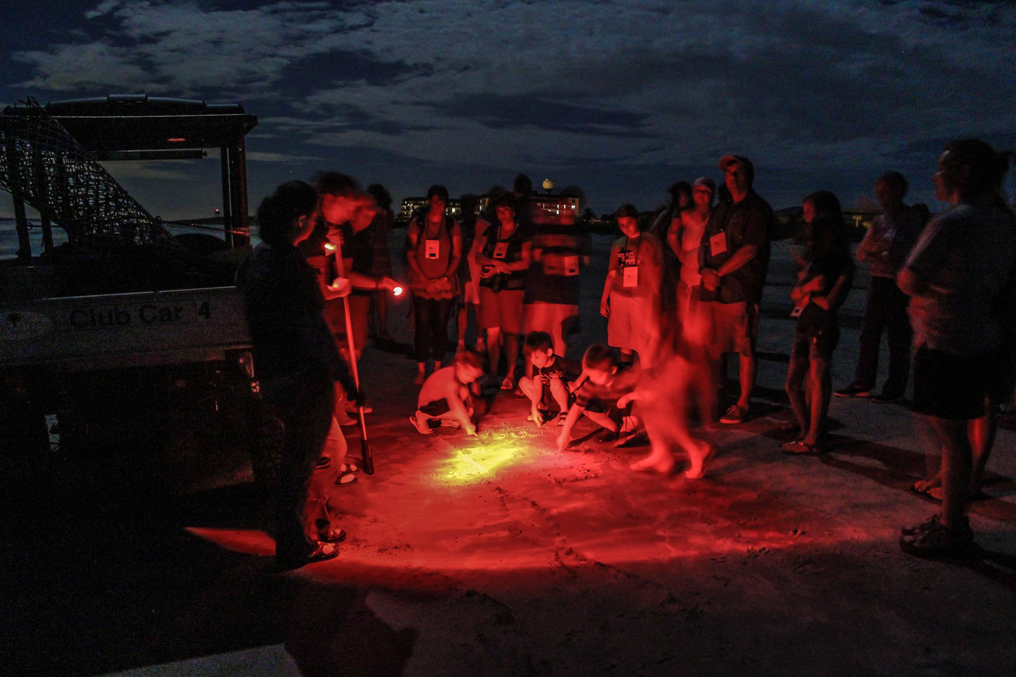 A Complete Guide to Sea Turtle Season on Jekyll Island • Jekyll Island, Georgia • Vacation ...