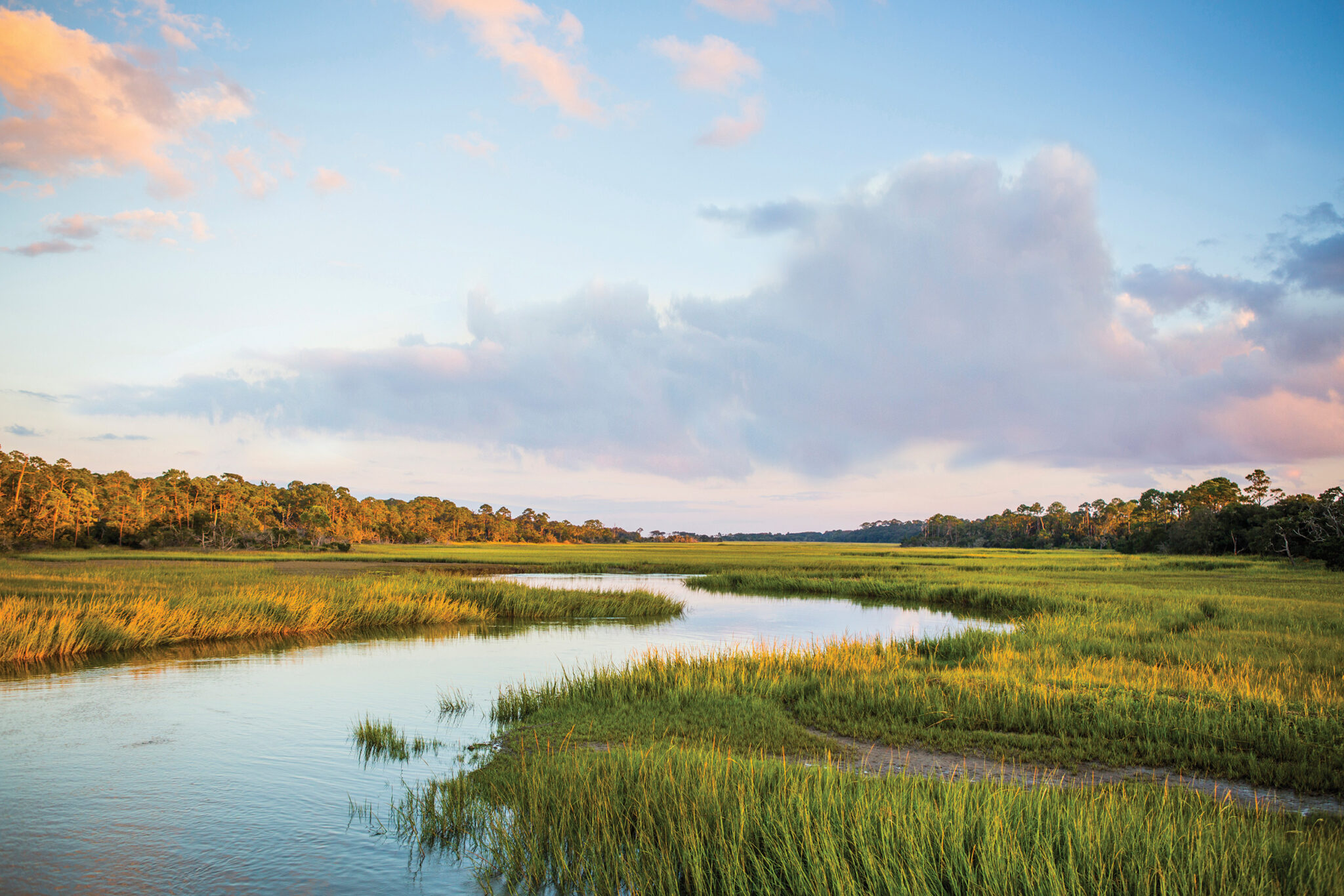 Clam Creek Marsh • Jekyll Island, Georgia • Vacation, Conservation, and ...