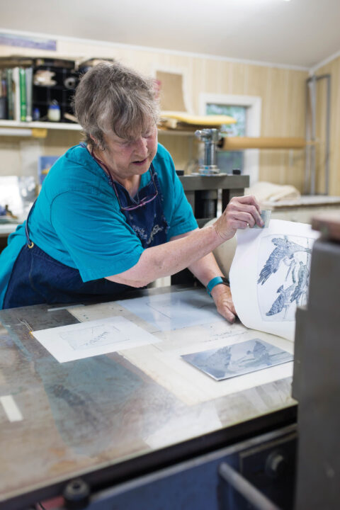 Lydia Thompson • Jekyll Island, Georgia • Vacation, Conservation, and ...