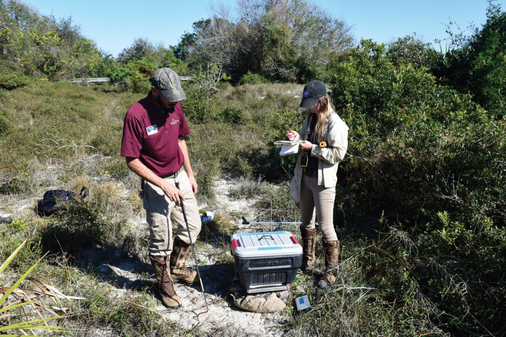 Snake Charmed • Jekyll Island, Georgia • Vacation, Conservation, and ...