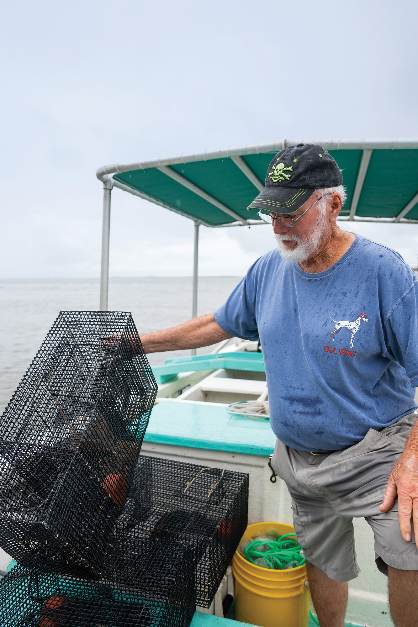 Island Time • Jekyll Island, Georgia • Vacation, Conservation, and ...
