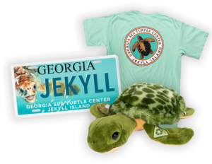 Georgia Sea Turtle Center • Jekyll Island, Georgia • Vacation ...