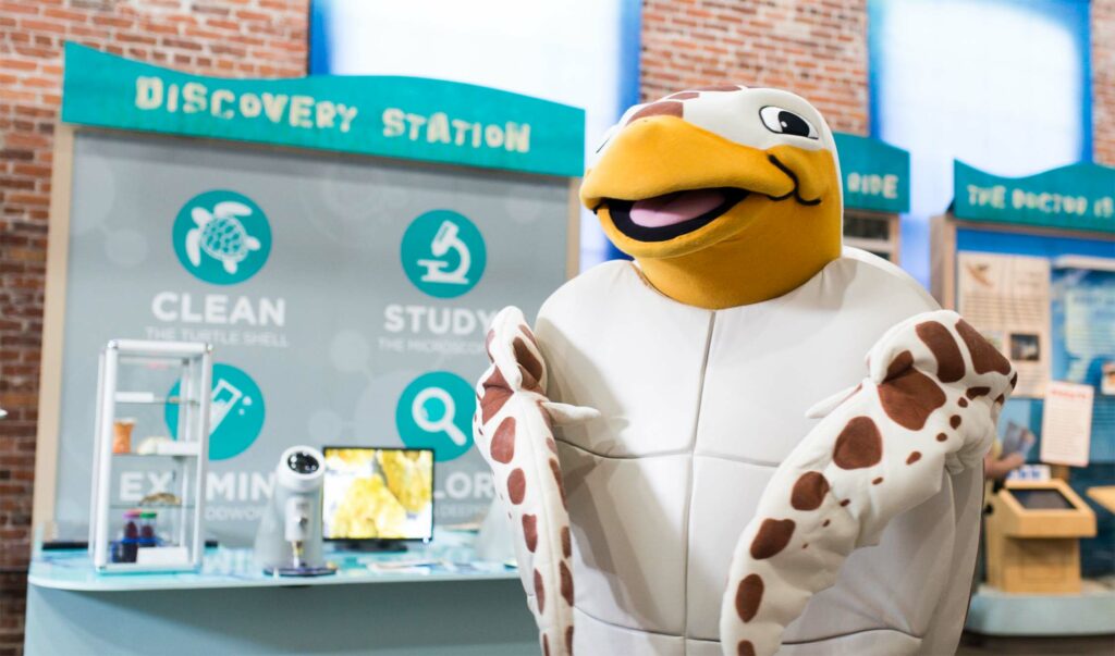 Scute's School • Jekyll Island, Georgia • Vacation, Conservation, and ...