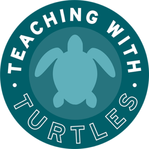 Scute's School • Jekyll Island, Georgia • Vacation, Conservation, and ...