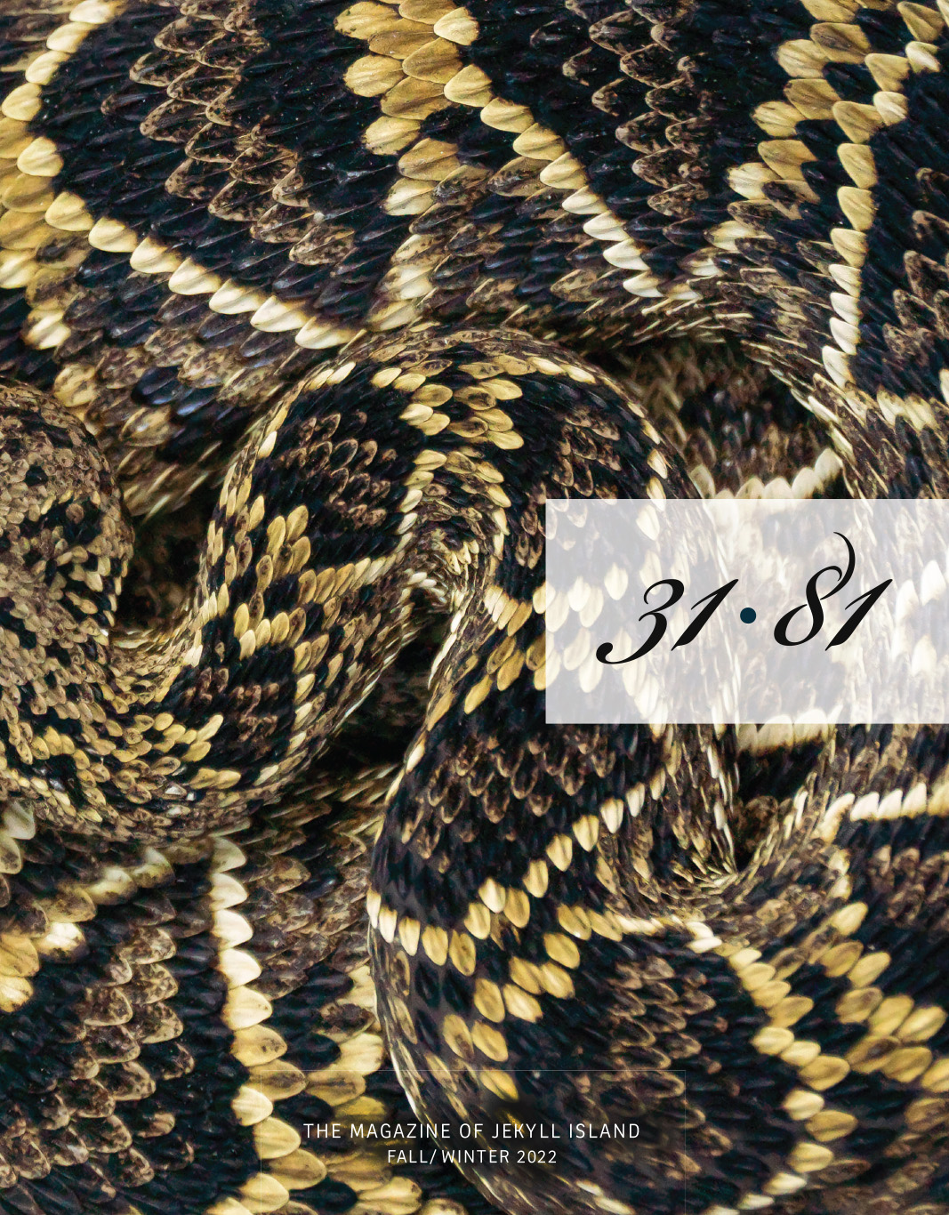 Claw and Order • Jekyll Island, Georgia • Vacation, Conservation, and ...