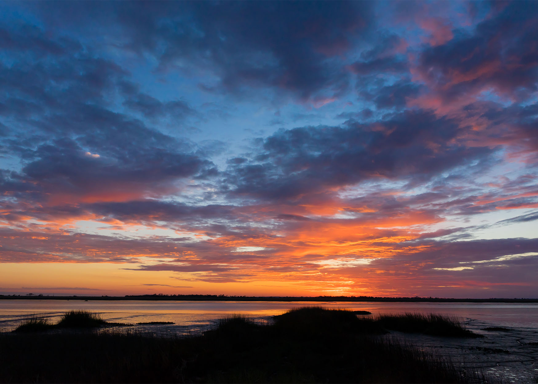 Coastal Twist on Leaf Peeping: Five Jekyll Island Coastal Color ...