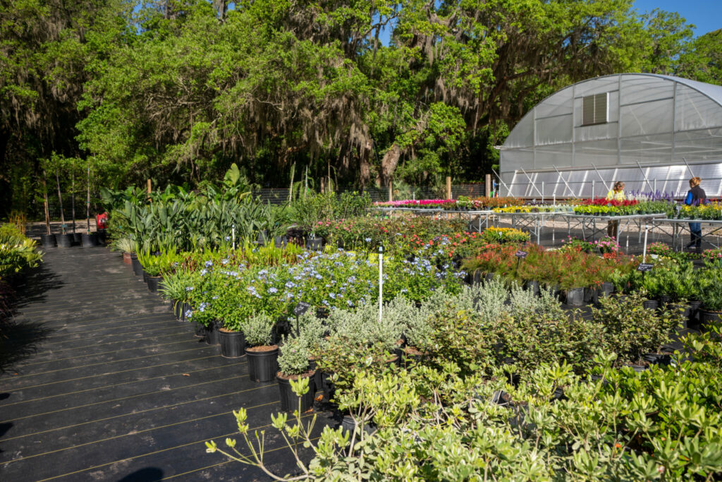 Jekyll Island Greenhouse • Jekyll Island, Georgia • Vacation ...