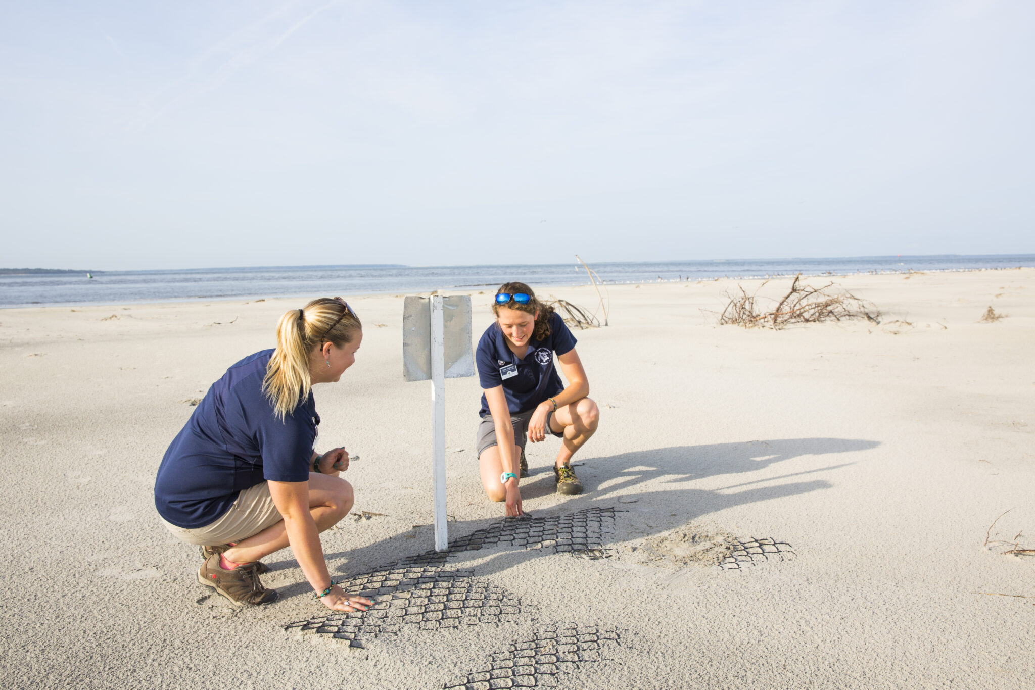 Seven Ways to Help Sea Turtles When You Visit During Sea Turtle Season ...