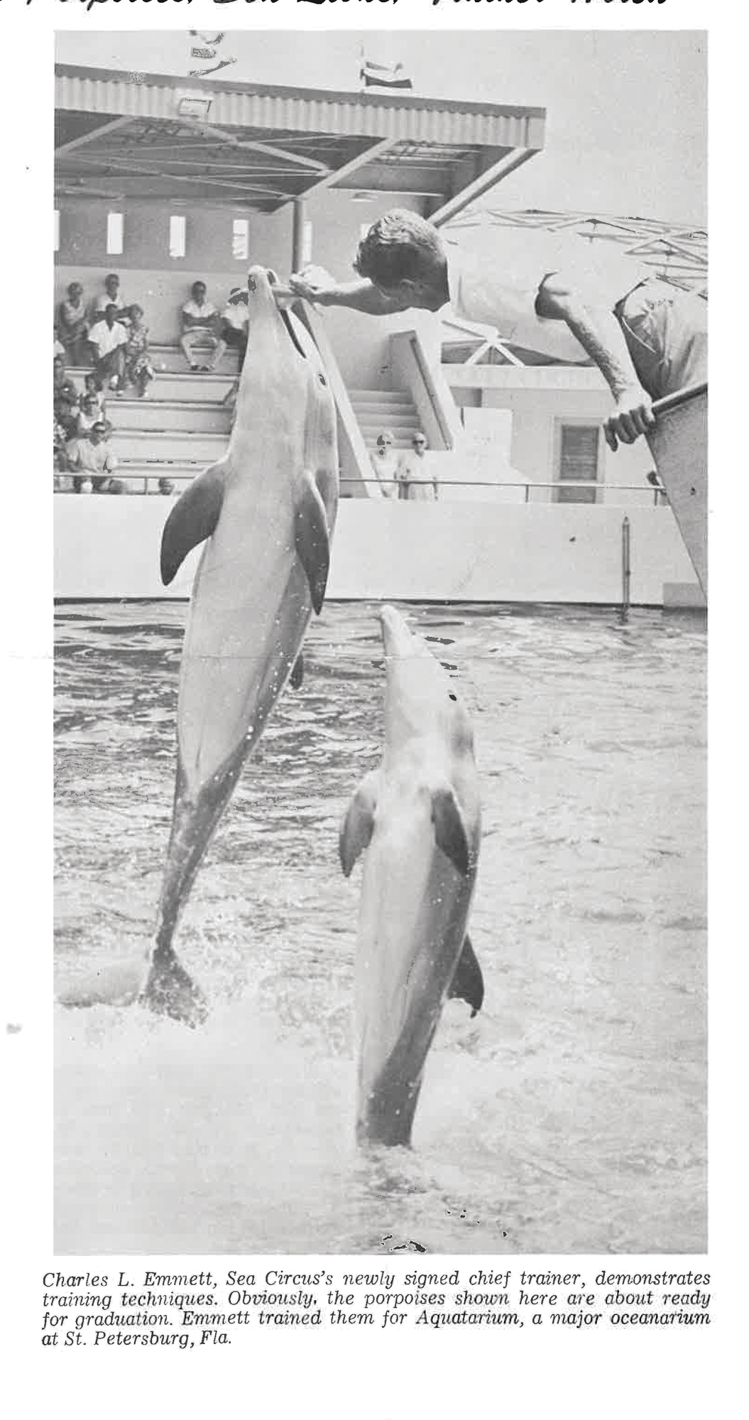 How the Sea Circus was Sunk • Jekyll Island, Georgia • Vacation ...