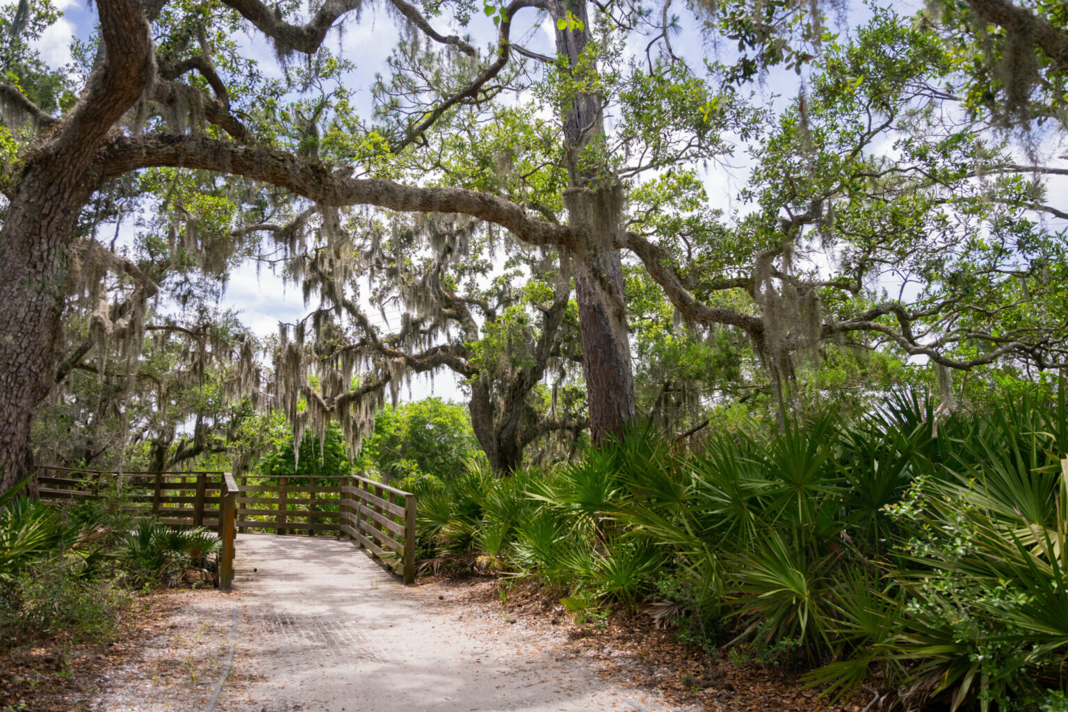Wander on Two Wheels: A Guide to Jekyll Island's Bike Trails • Jekyll ...