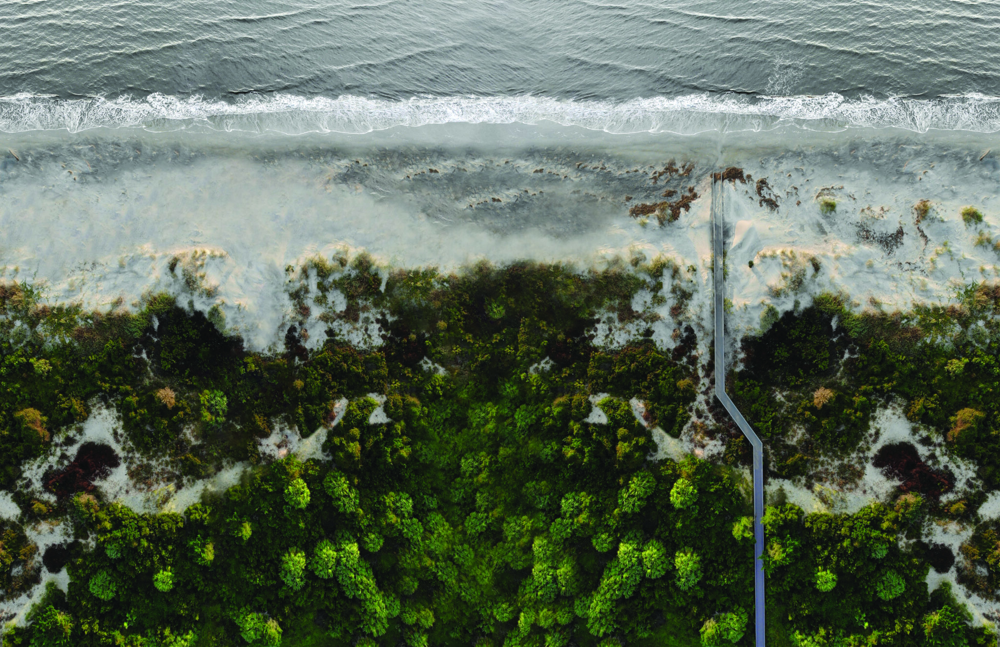 Jekyll by the Numbers • Jekyll Island, Georgia • Vacation, Conservation ...