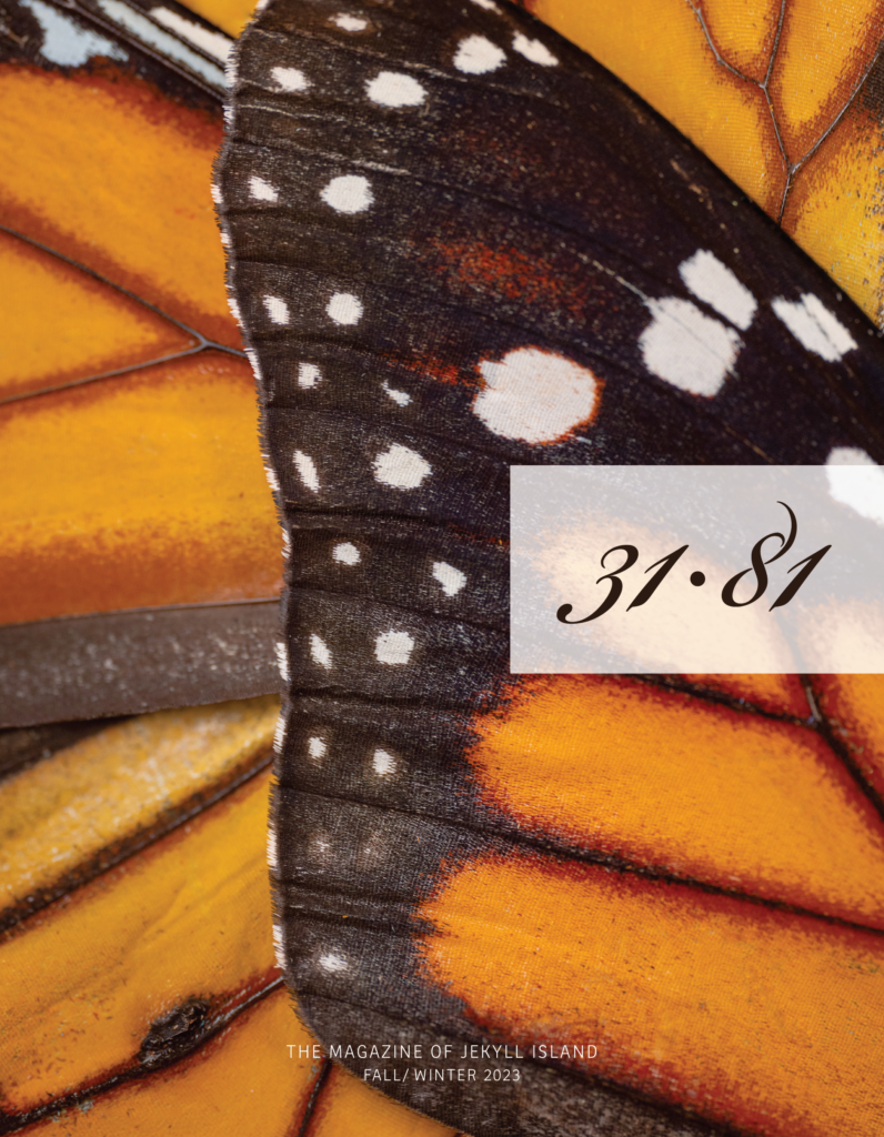 Jekyll by the Numbers • Jekyll Island, Georgia • Vacation, Conservation ...